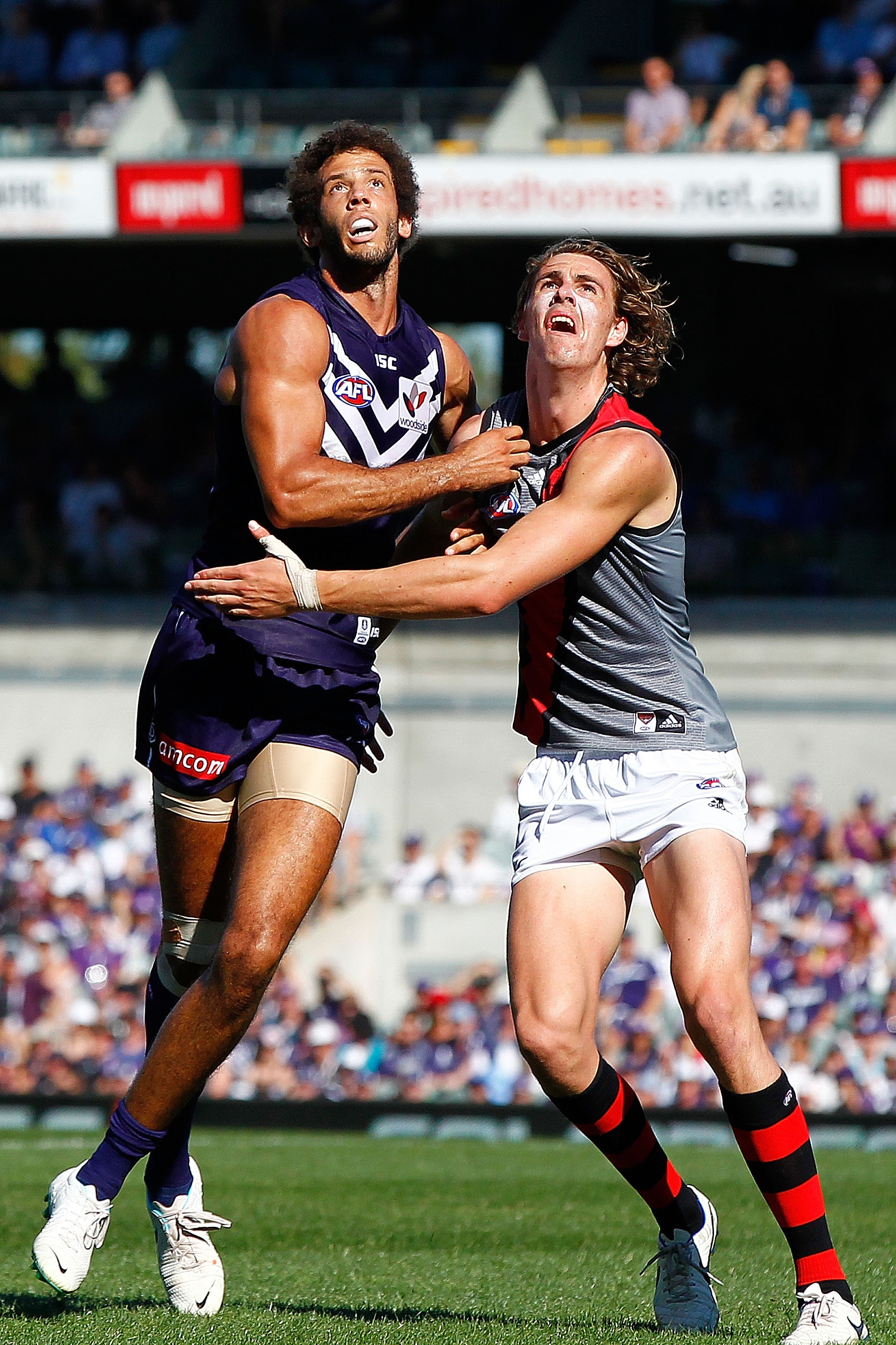 2014 Freo Fans' MVP