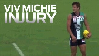 Viv Michie update