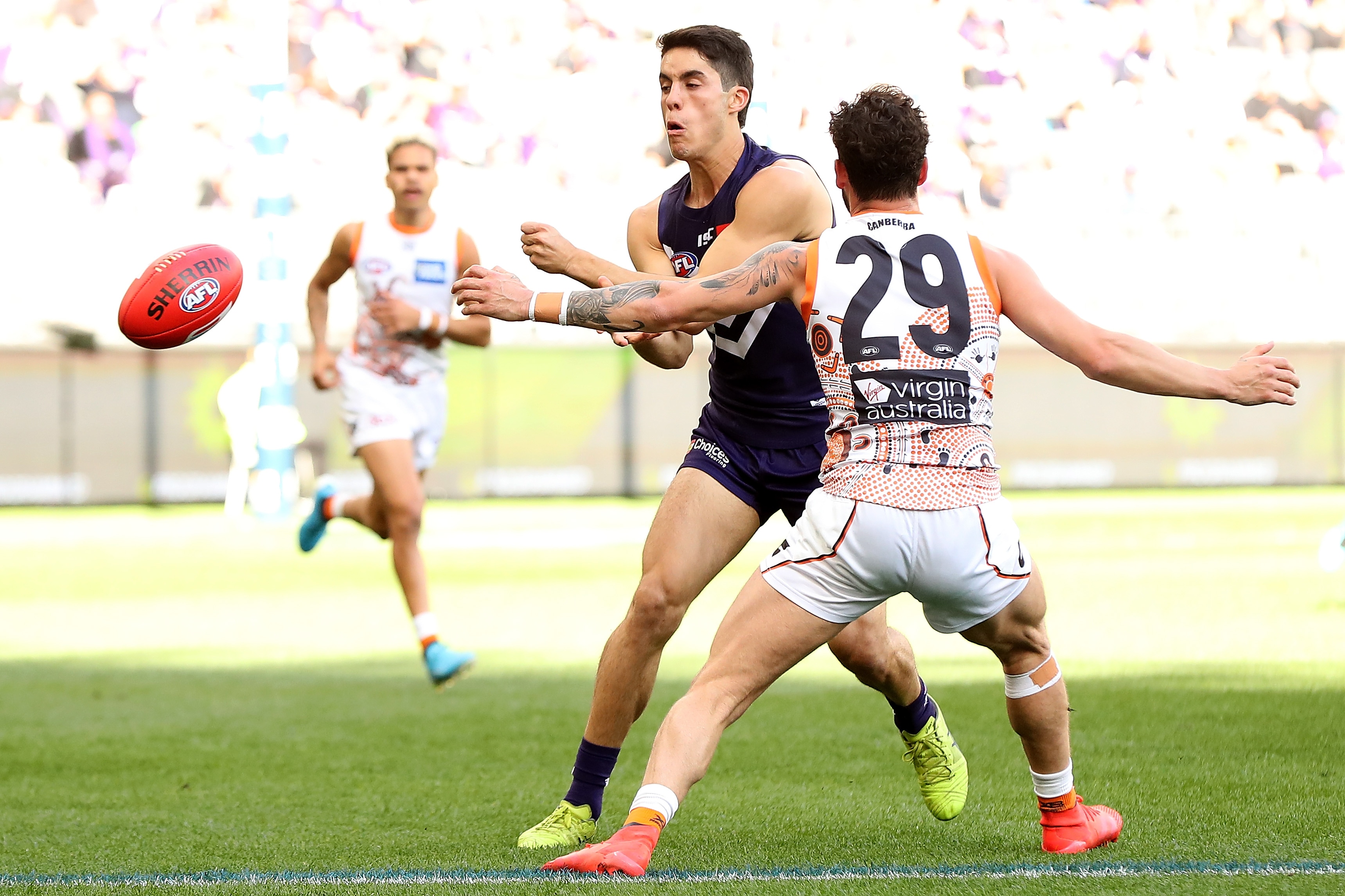 Cerra’s Giant focus