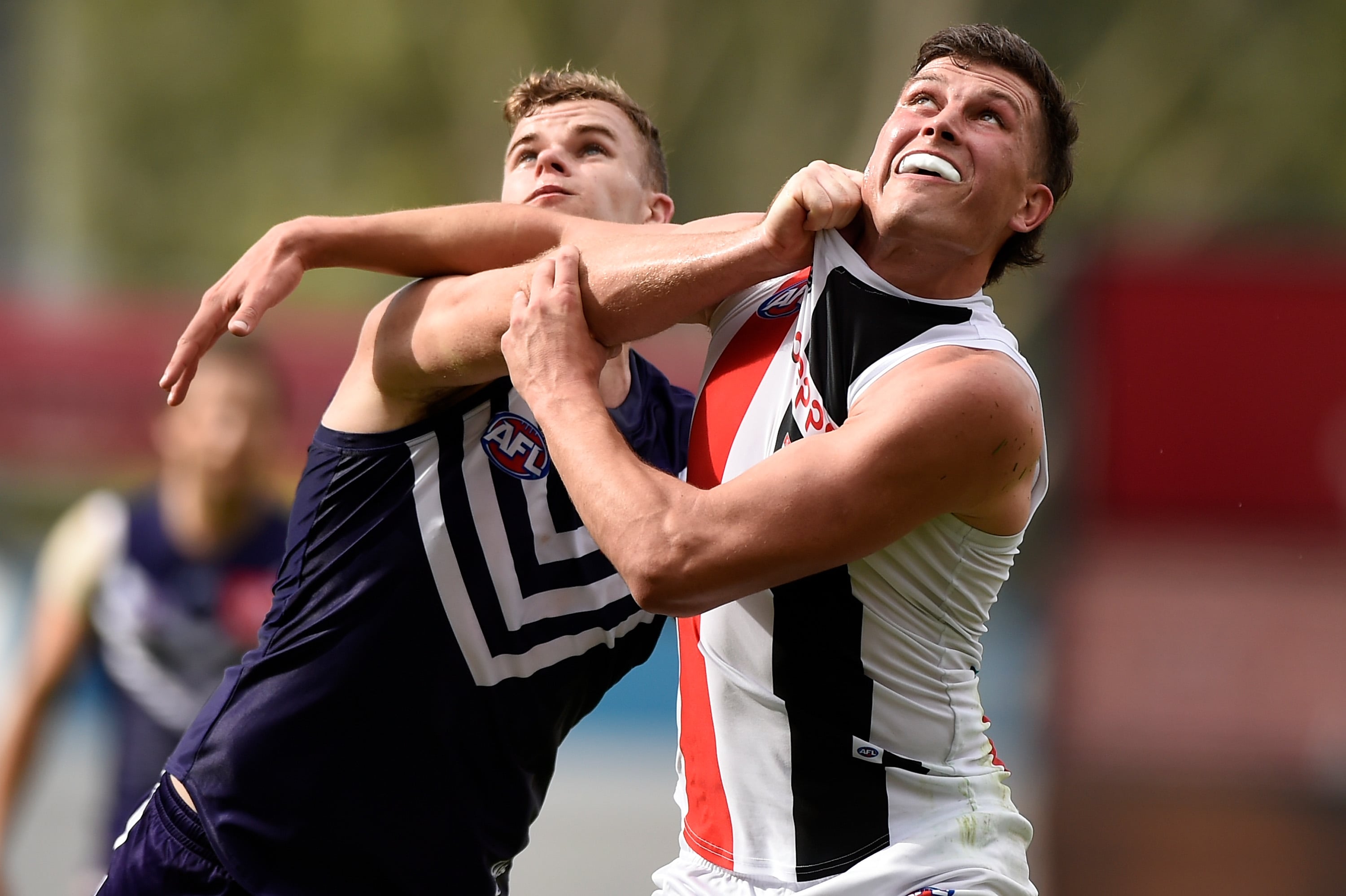 TABtouch Squad: Darcy set for return