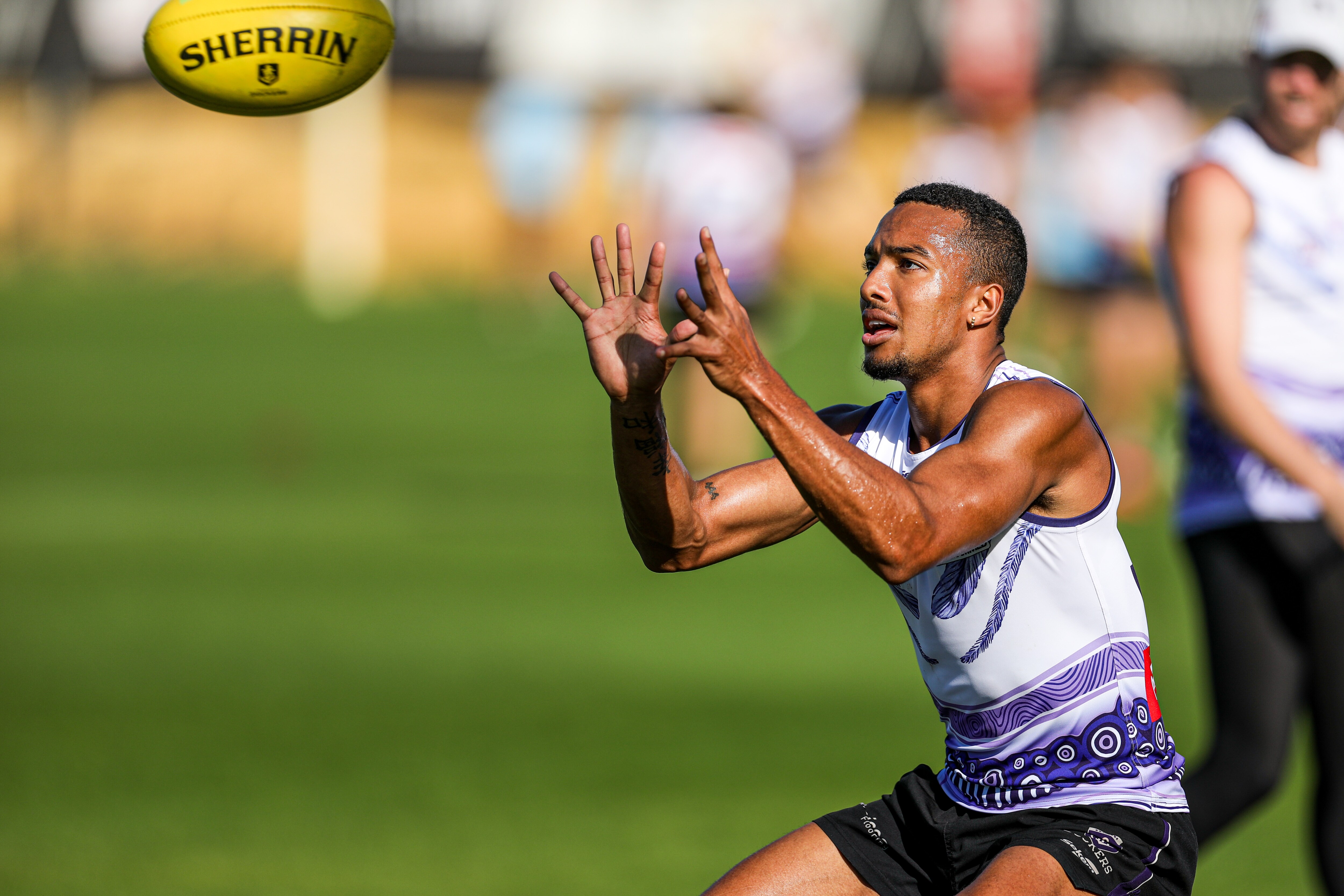 TABtouch 22: Two changes for Dees clash