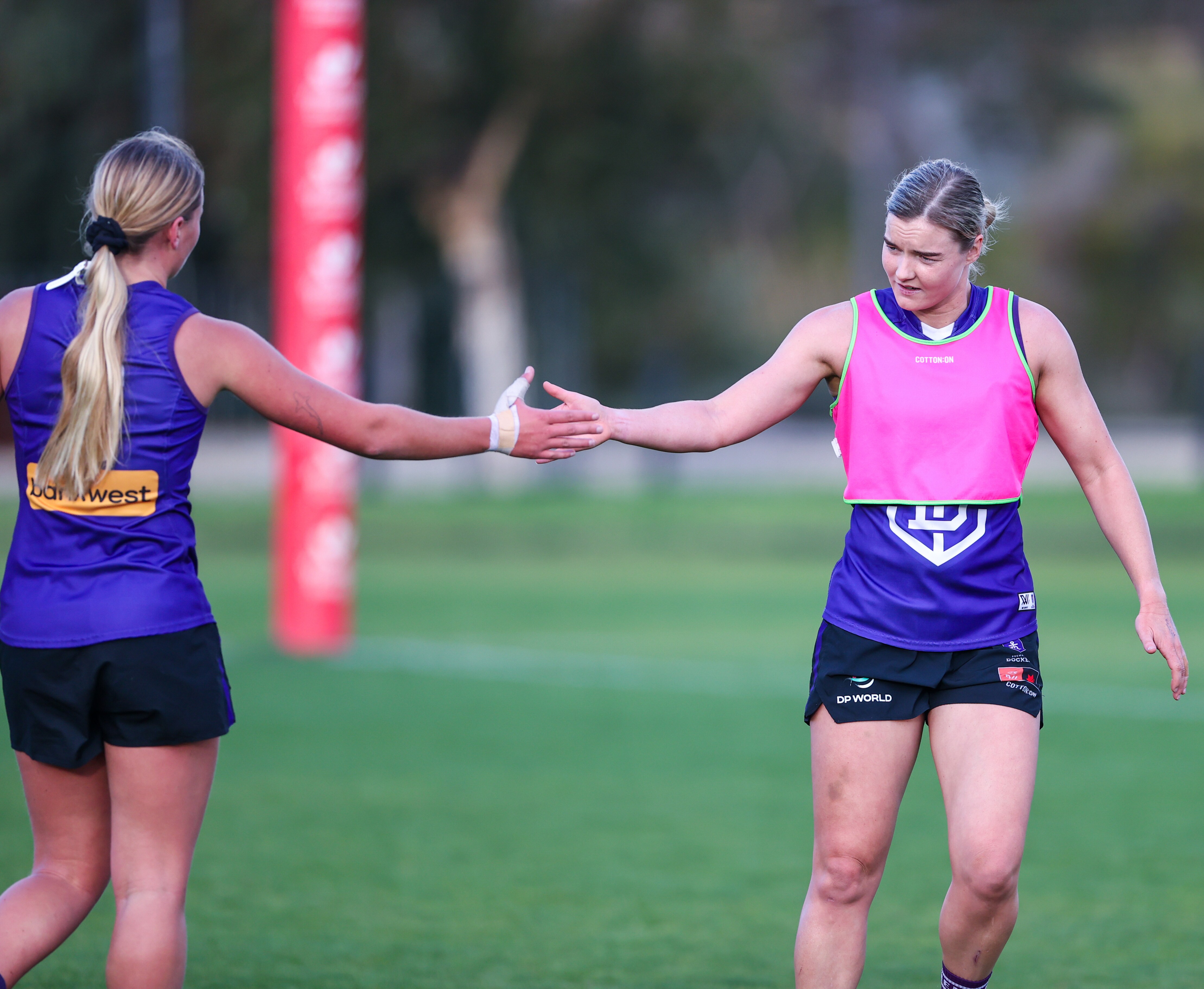 Gallery: AFLW Training 22 July