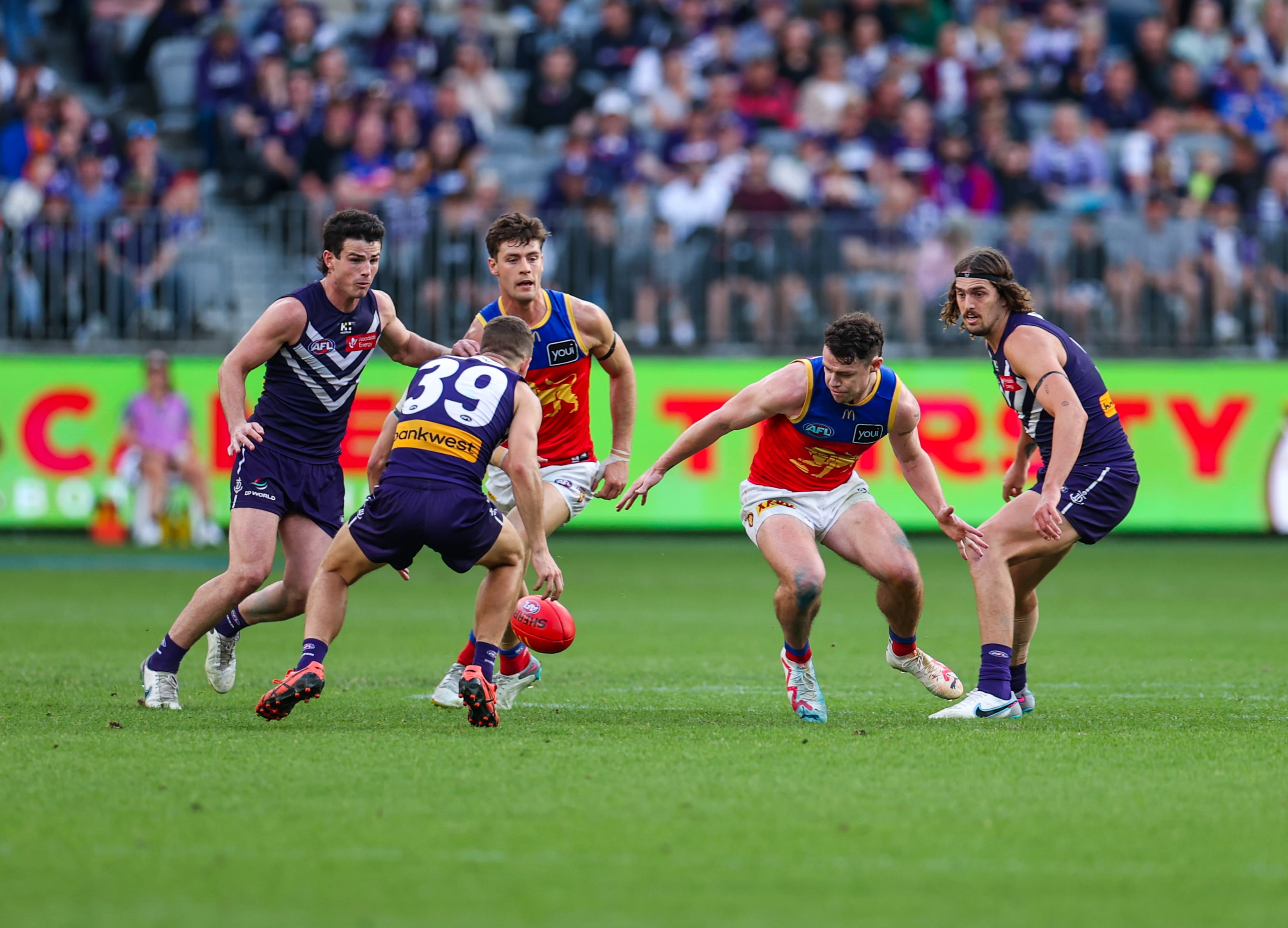 Switkowski determined with squad's depth despite Darcy setback