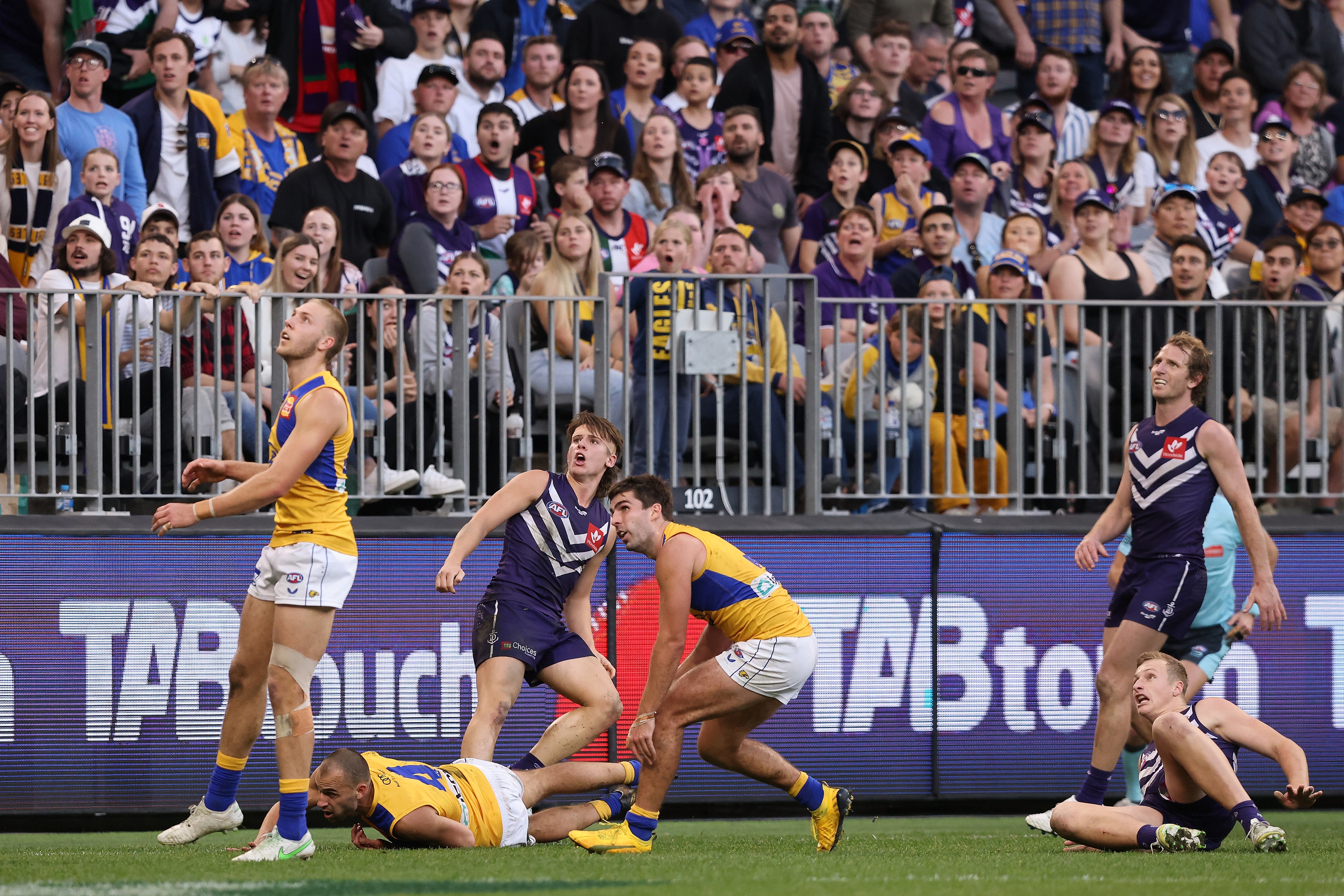 Caleb Serong: 100 games of numbers