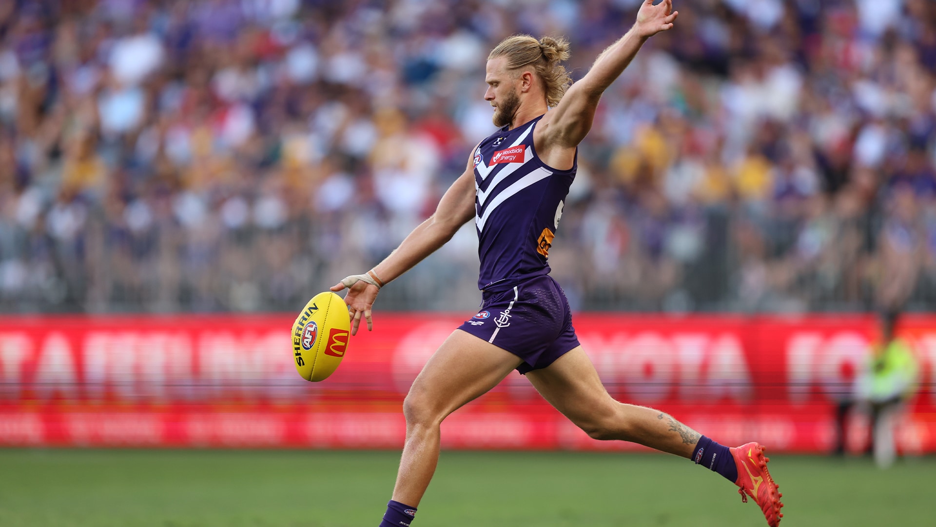 TABtouch Team: Two return for Dogs clash