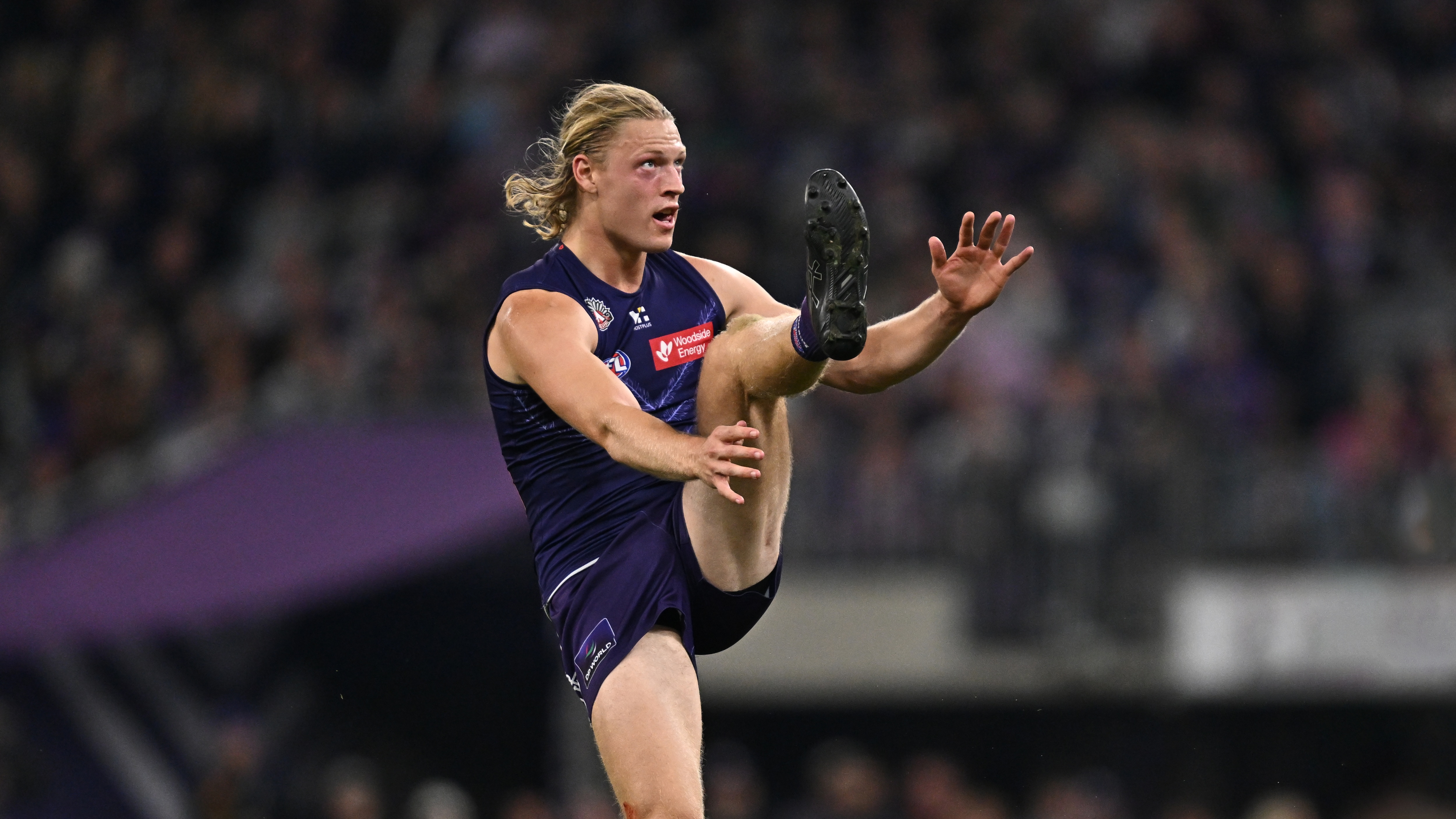 Vanessa liberte sex leaks several hours later the provider