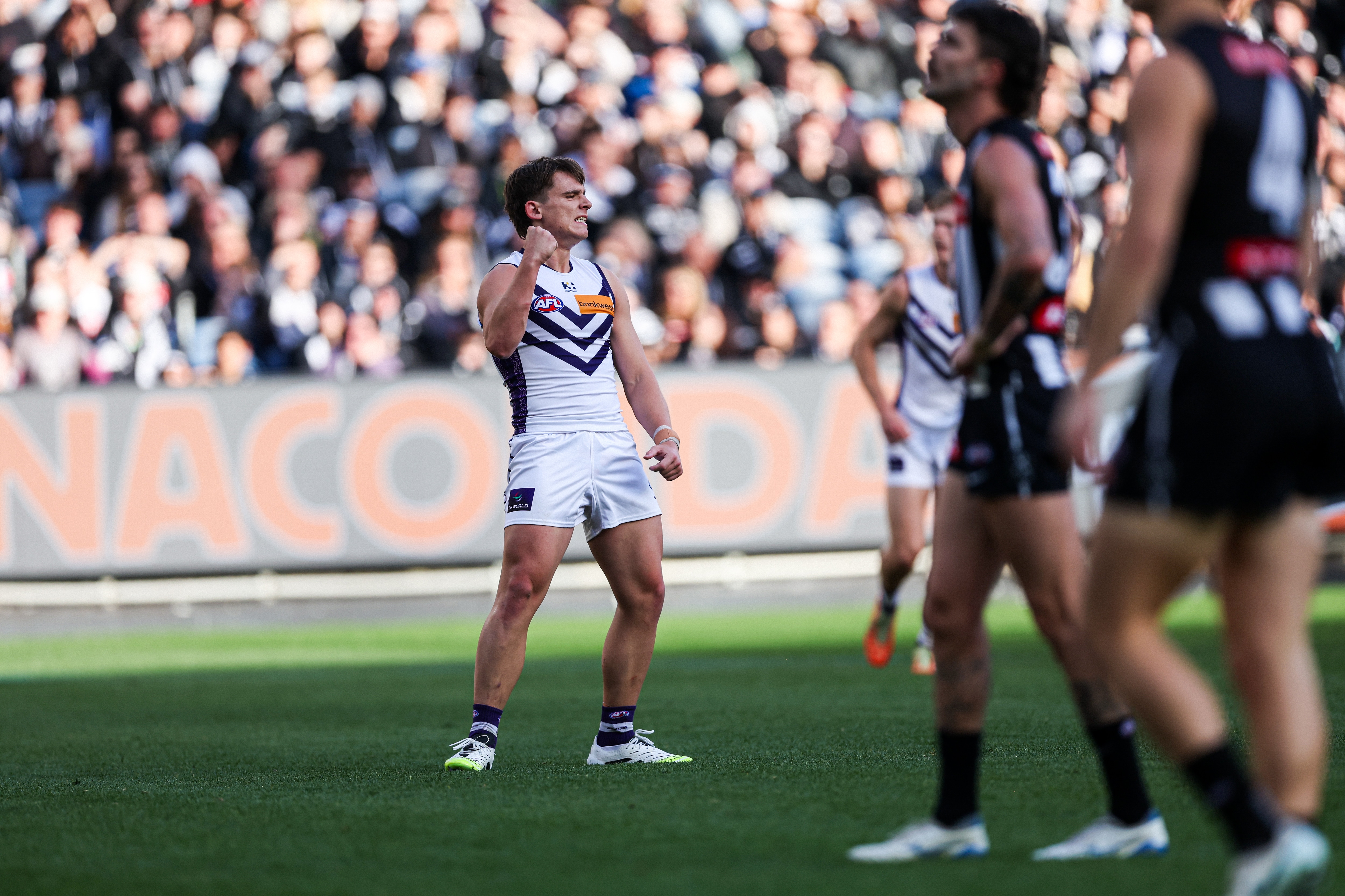Around the Grounds: Hear from Serong, Young and Joe Brierty