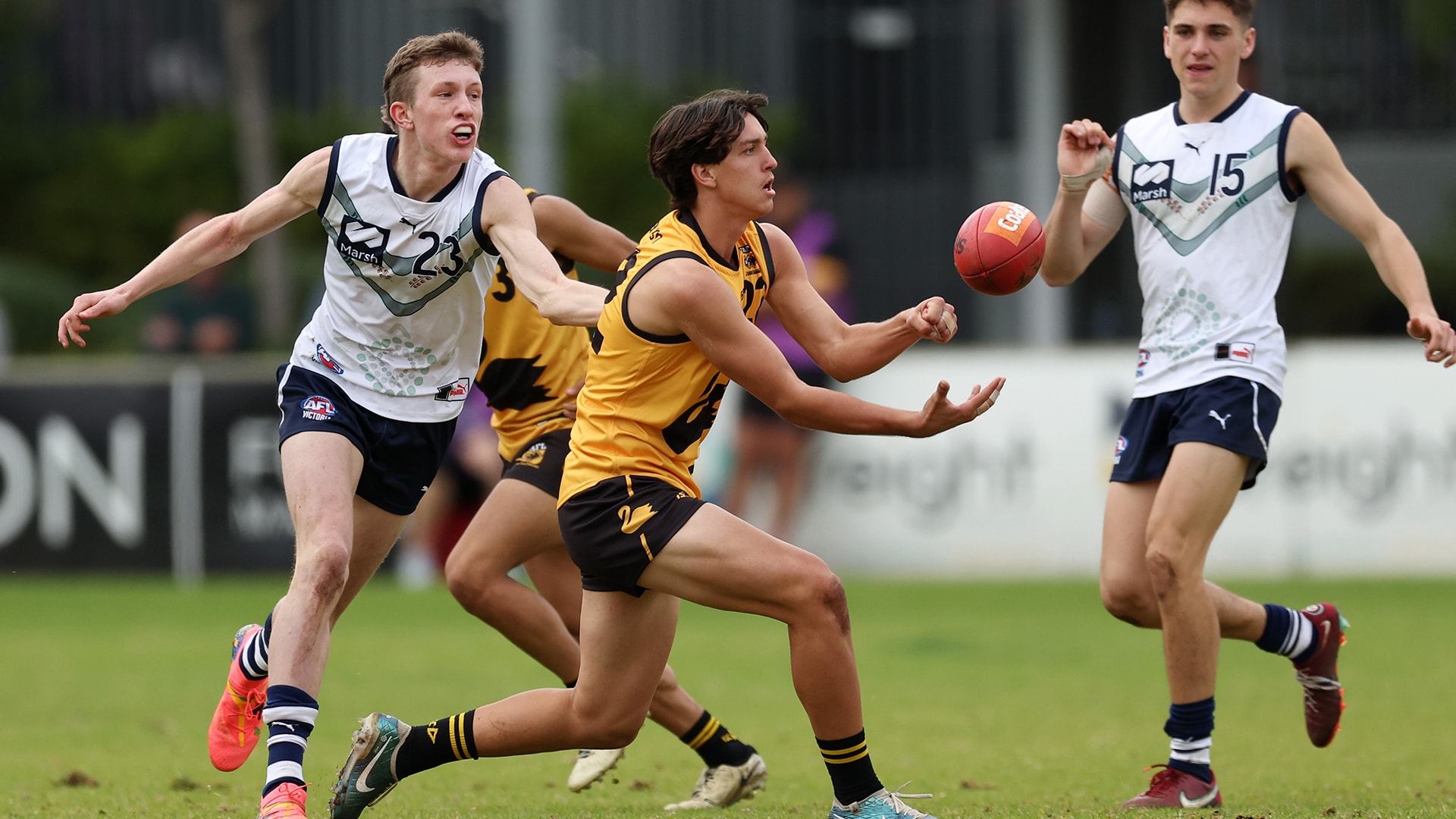 Category B Rookie – Toby Whan