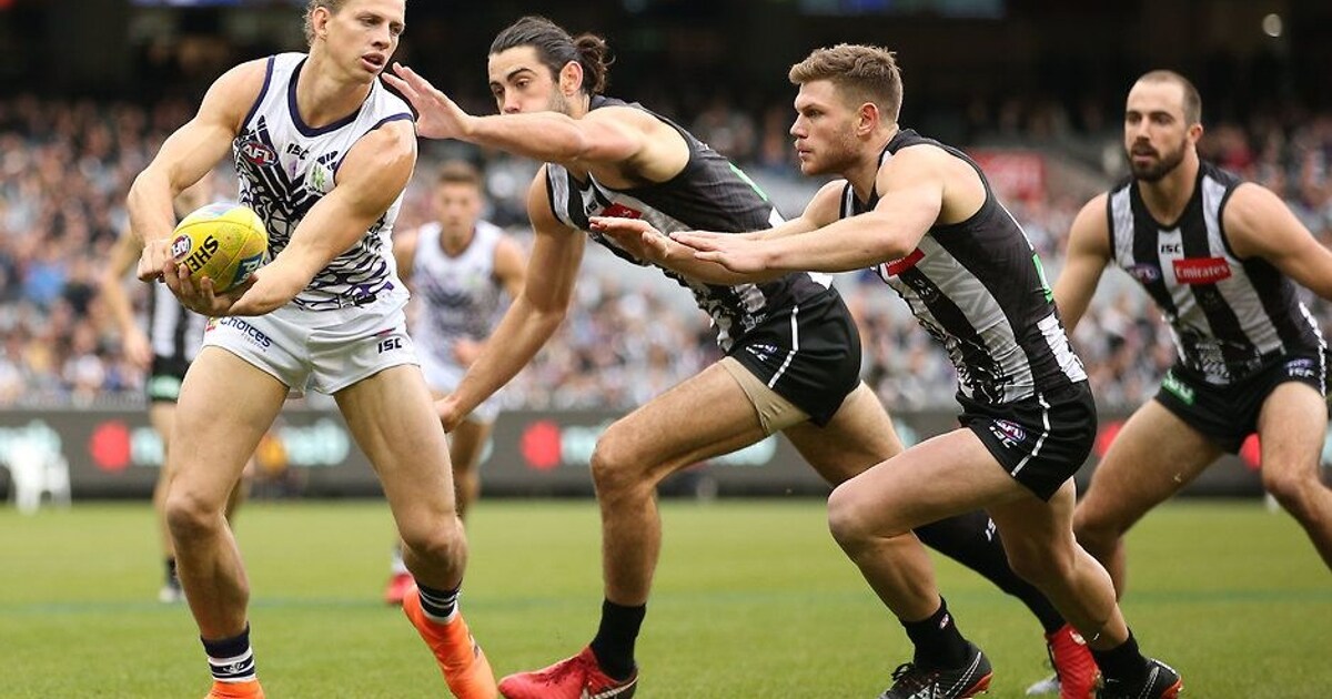 Match preview v Collingwood