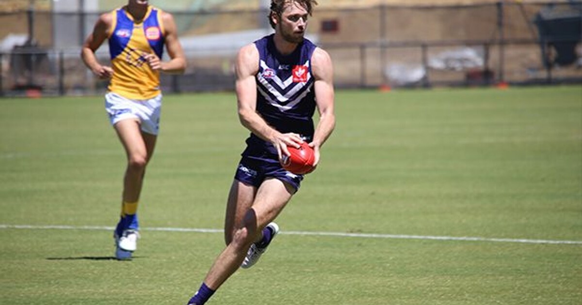 Hamling ready to go again
