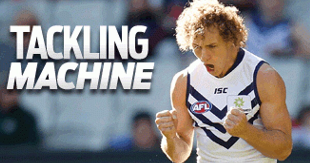 Mayne the tackling machine