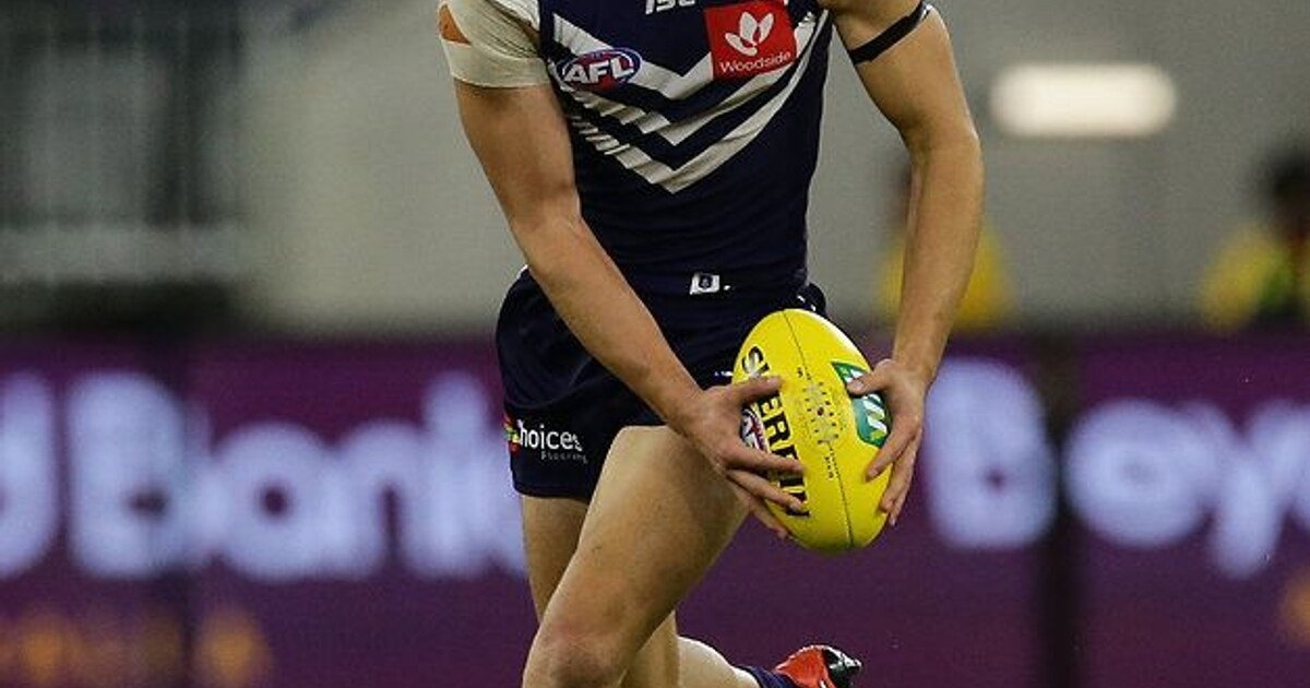 Cerra sees work paying off
