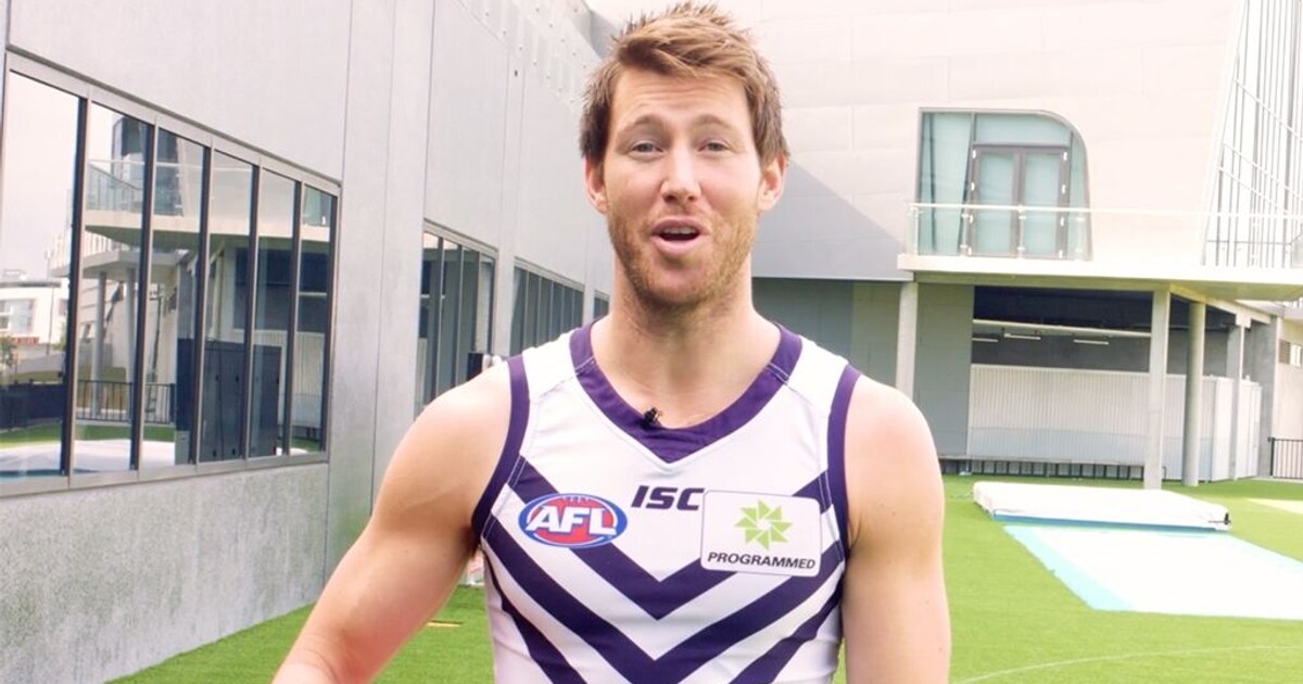 Programmed's Ultimate Freo Fan