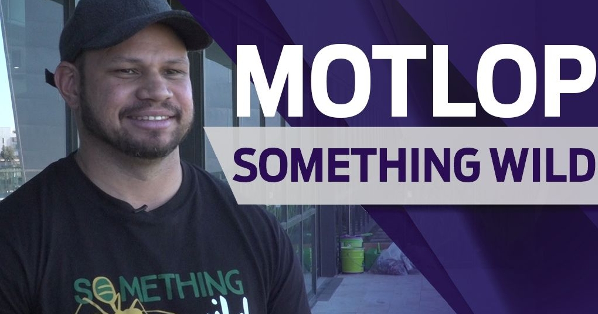 Something Wild - Daniel Motlop