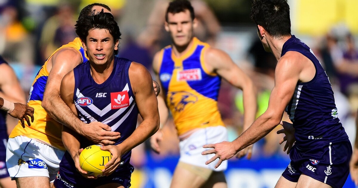 Marsh Series pre-sale