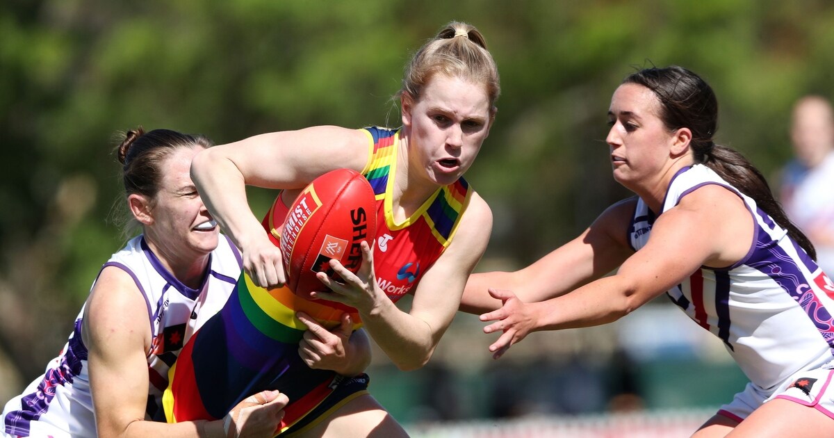 Freo put up brave fight in Crows loss