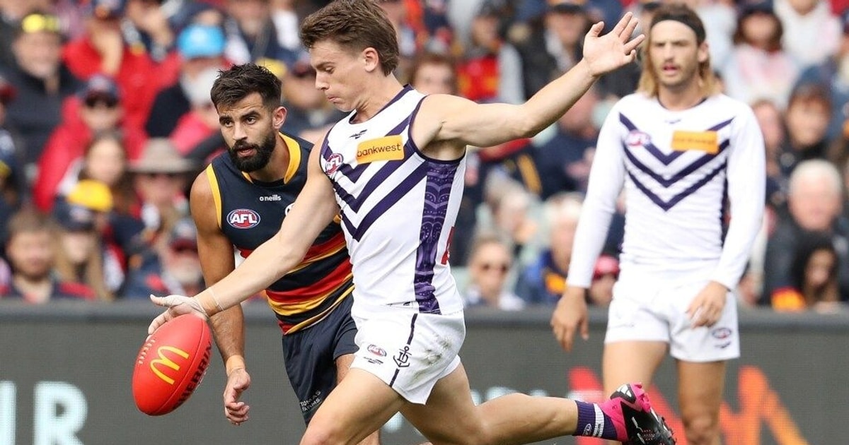 Caleb Serong highlights | Round 4 v Adelaide