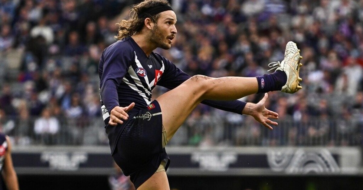 James Aish highlights | 150th AFL game