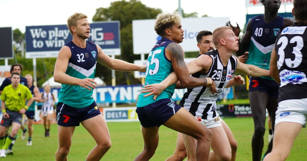 WAFL Wrap: Peel stay equal-top after dominant win