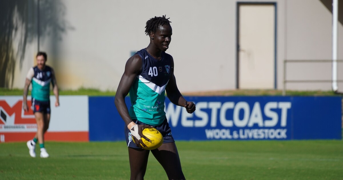 WAFL player stats: Peel v Perth