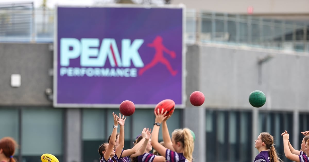 Our 2023 Peak Performance Program!