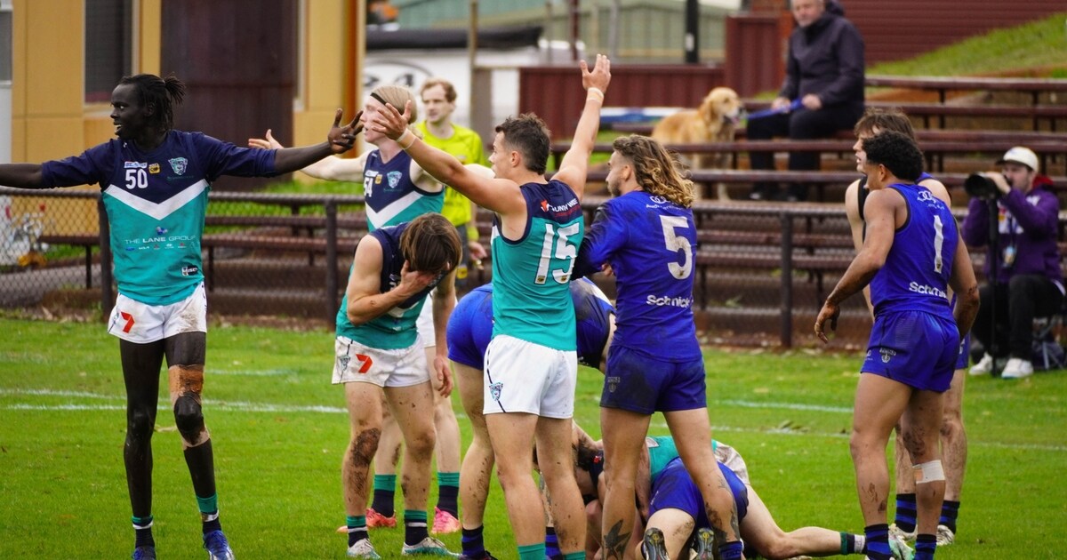 WAFL Gallery: Peel v East Perth